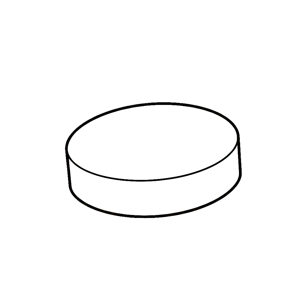 Tampa Bay Lightning Coloring Pages - Create Your Own Fan Art | Dream ...